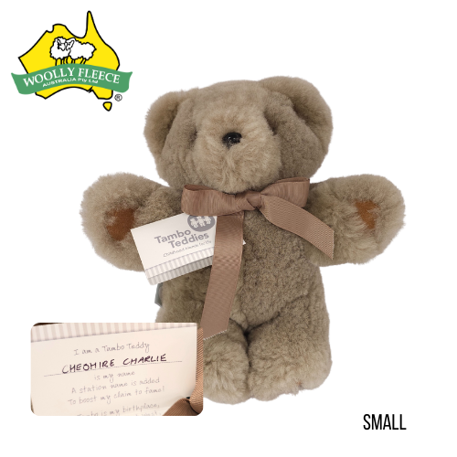 Tambo Teddy - Suede Paws – Woolly Fleece Australia
